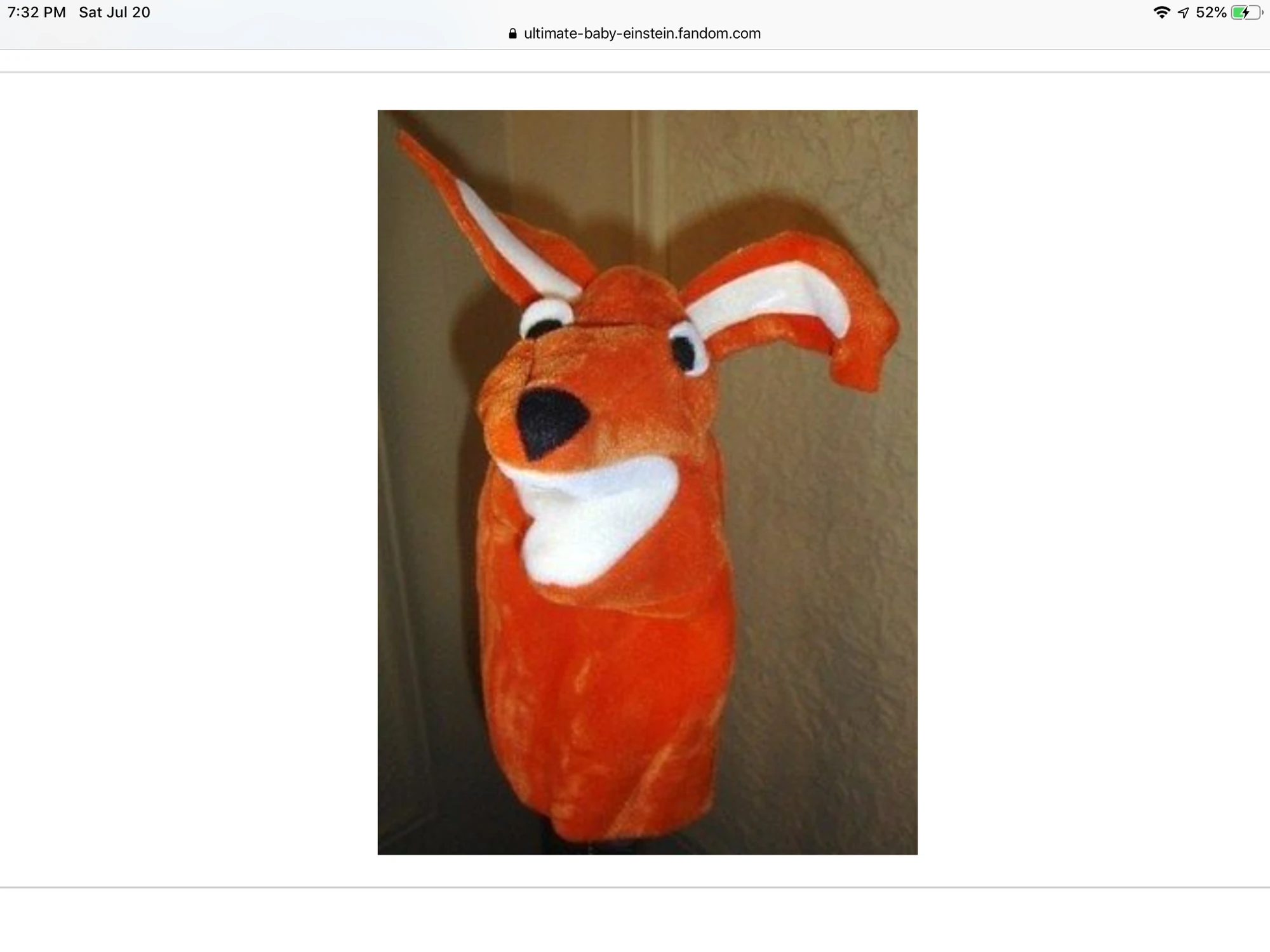 Bach The Rabbit | Baby Einstein Wiki | Fandom