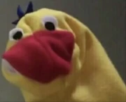 Quackamus Duck Puppet | Baby Einstein Wiki | Fandom