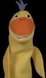 Gumbo the Duck | Baby Einstein Wiki | Fandom