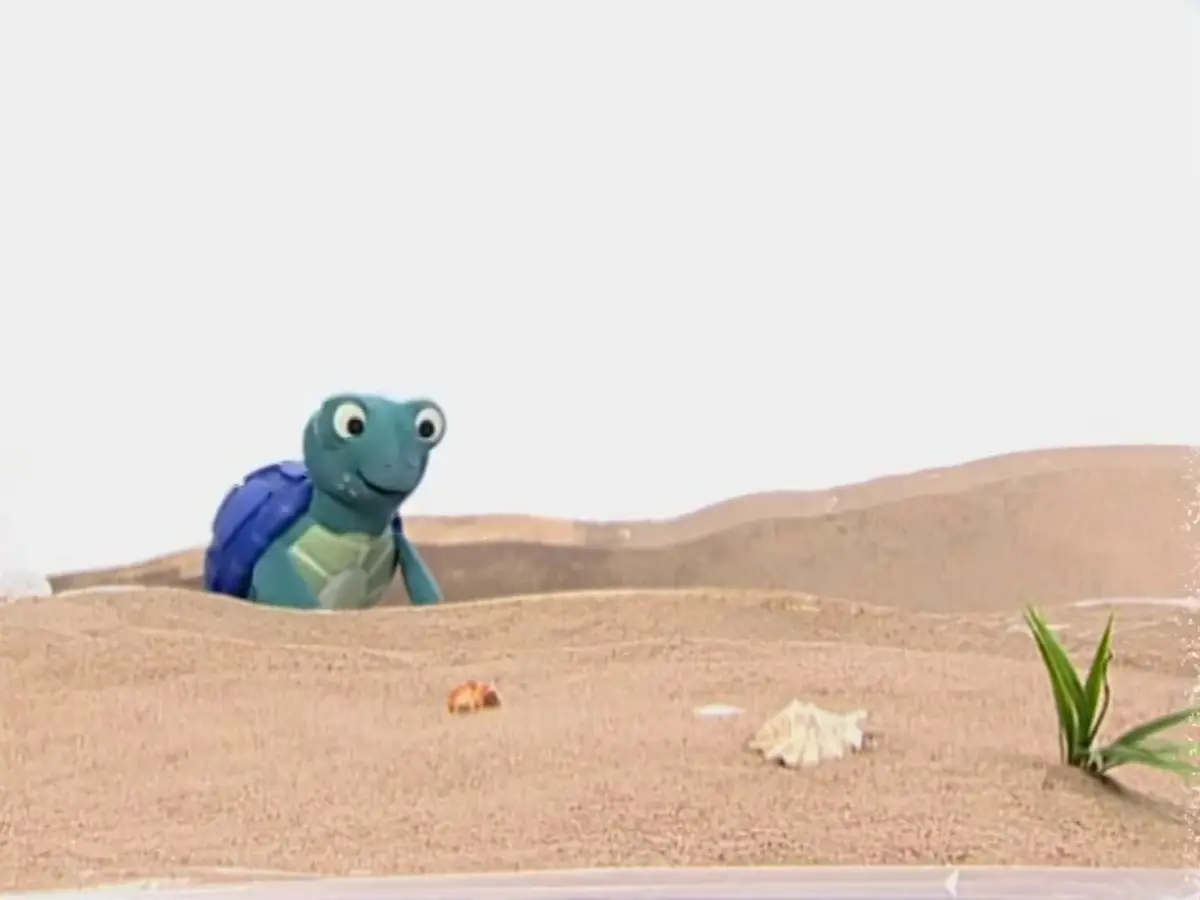 Neptune the Turtle | Baby Einstein Wiki | Fandom