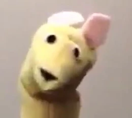 Chico The Chihuahua | Baby Einstein Wiki | Fandom