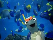 Neptune the Turtle | Baby Einstein Wiki | Fandom