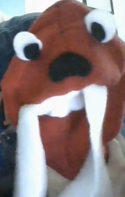 Waldo Walrus Puppet | Baby Einstein Wiki | Fandom