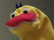 Quackamus Duck Puppet | Baby Einstein Wiki | Fandom