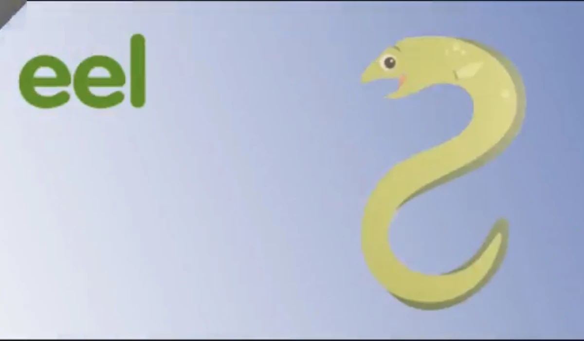 Donald the Eel | Baby Einstein Wiki | Fandom