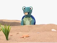 Neptune the Turtle | Baby Einstein Wiki | Fandom