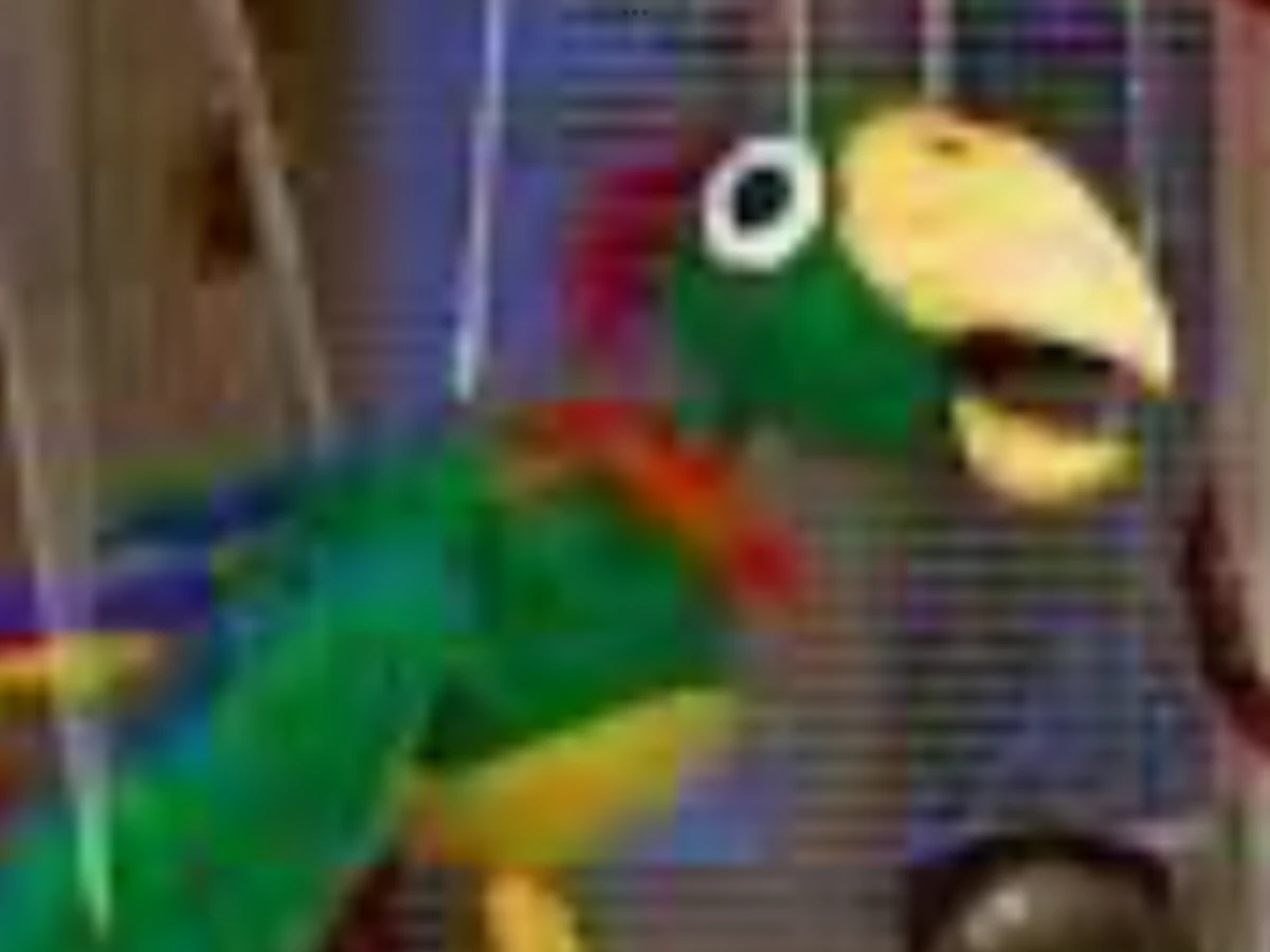 Potty the parrot | Baby Einstein Wiki | Fandom