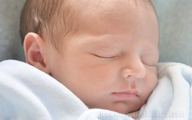 Baby Steve | Baby Hero's Wiki | Fandom