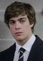 Istituto C. Collodi | Baby Wiki | Fandom