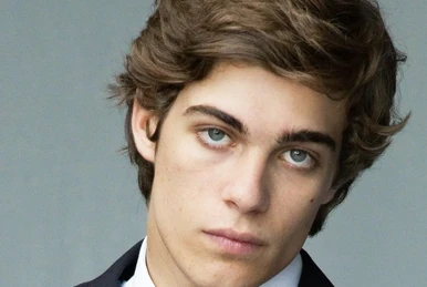 will grayson will grayson theme