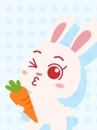 Momo | Babybus Wiki | Fandom