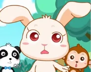 Momo | Babybus Wiki | Fandom