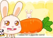 Momo | Babybus Wiki | Fandom