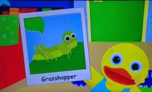 Tillie Knock Knock | BabyFirstTV Wiki | Fandom