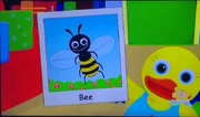 Tillie Knock Knock | BabyFirstTV Wiki | Fandom