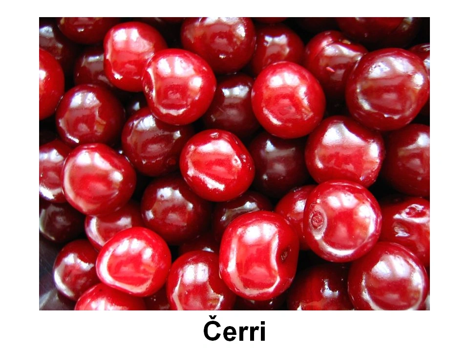 Čerri | Babyish Wiki | Fandom