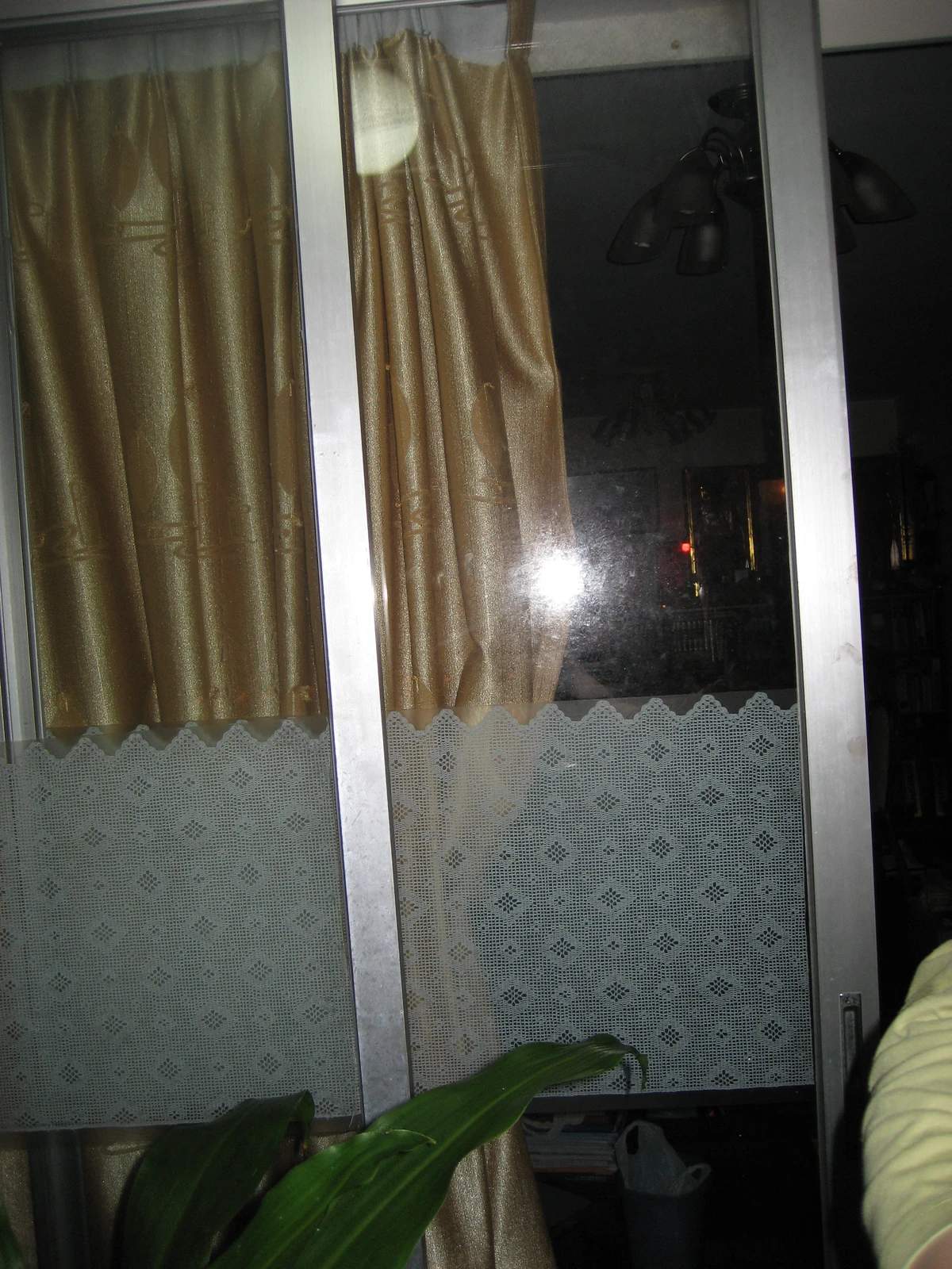 Bbd:Patiodor | Babyish Wiki | Fandom