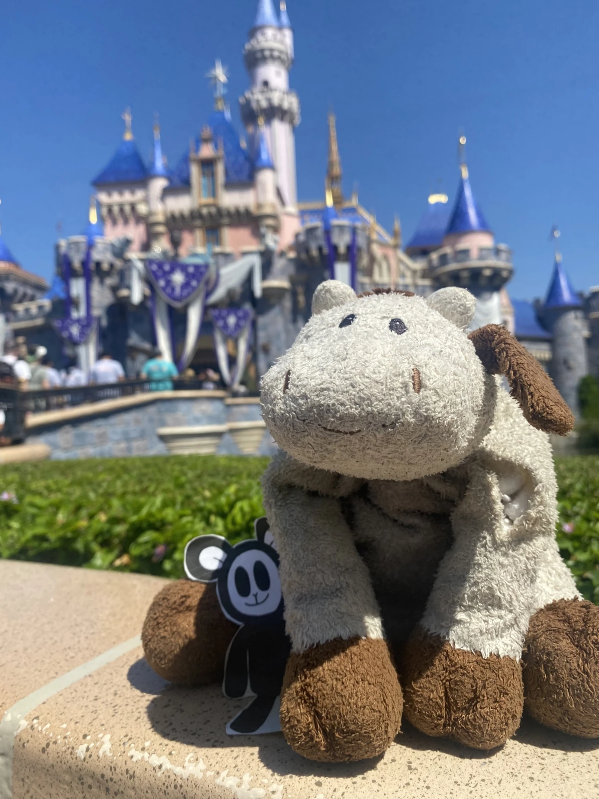 DisneyLamb | Baby Lamb & Friends Wiki | Fandom