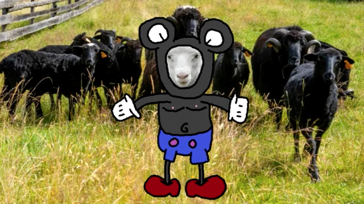 Black Lamb Boi & Friends | Baby Lamb & Friends Wiki | Fandom