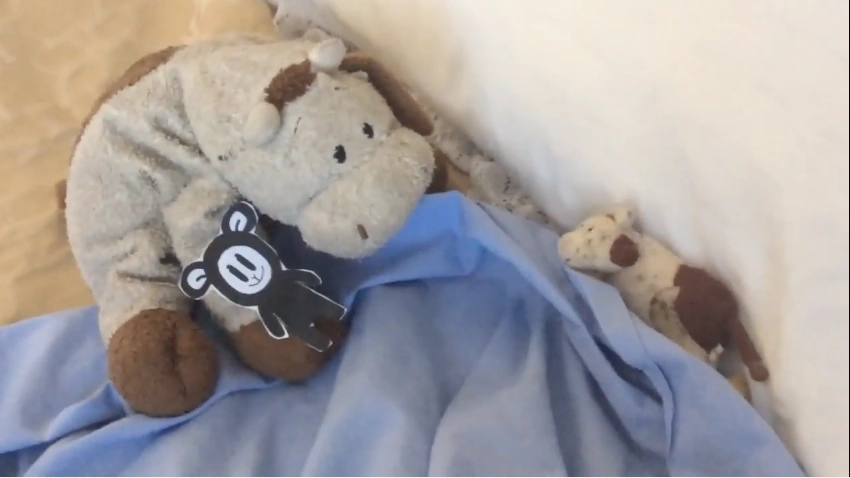 A Tale of Two Cows | Baby Lamb & Friends Wiki | Fandom