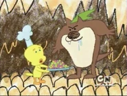 Baby Taz | Baby Looney Tunes Wiki | Fandom