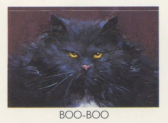 Boo-Boo | The Baby-Sitters Club Wiki | Fandom