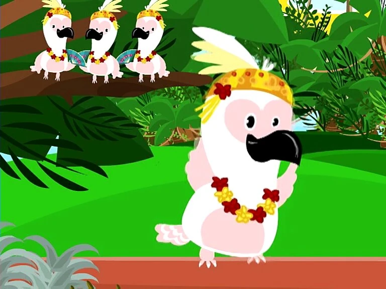 Cockatoo | BabyTV Wiki | Fandom