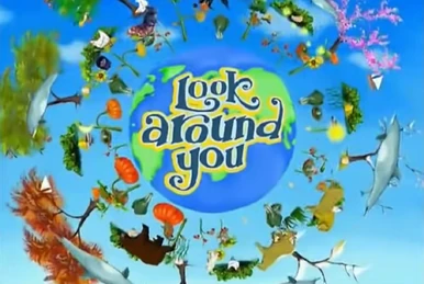 Concertino Babytv Concertino Locomotion