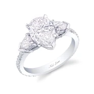 The Bachelor (Season 26) | Bachelor Nation Wiki | Fandom