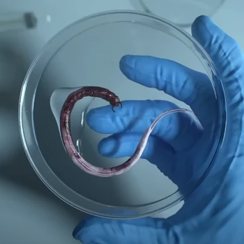 Devil Worm | Back 4 Blood Wiki | Fandom