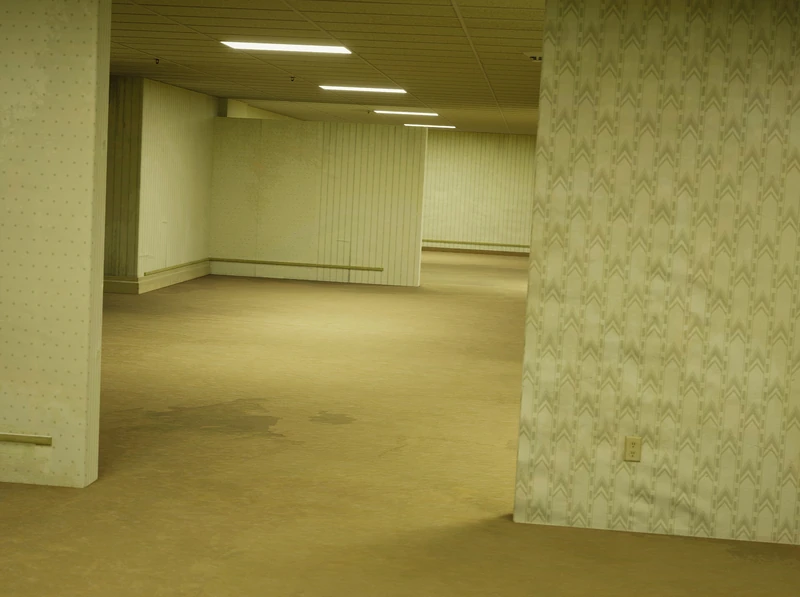 Nivel 0:"El lobby" | Wiki BackroomPedia | Fandom