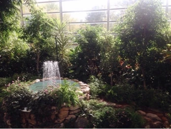 Level 30 | Backrooms Amalgam Wiki | Fandom