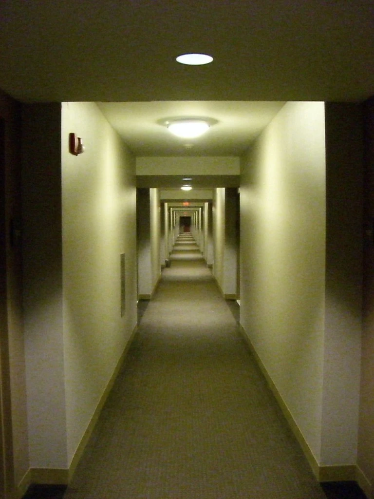 Level 87 | Backrooms Amalgam Wiki | Fandom