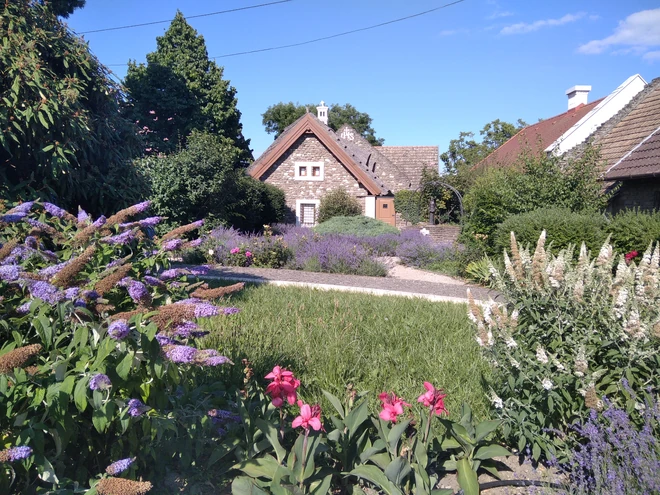 Level 36: "Heaven" | Backrooms Blix Wiki | Fandom