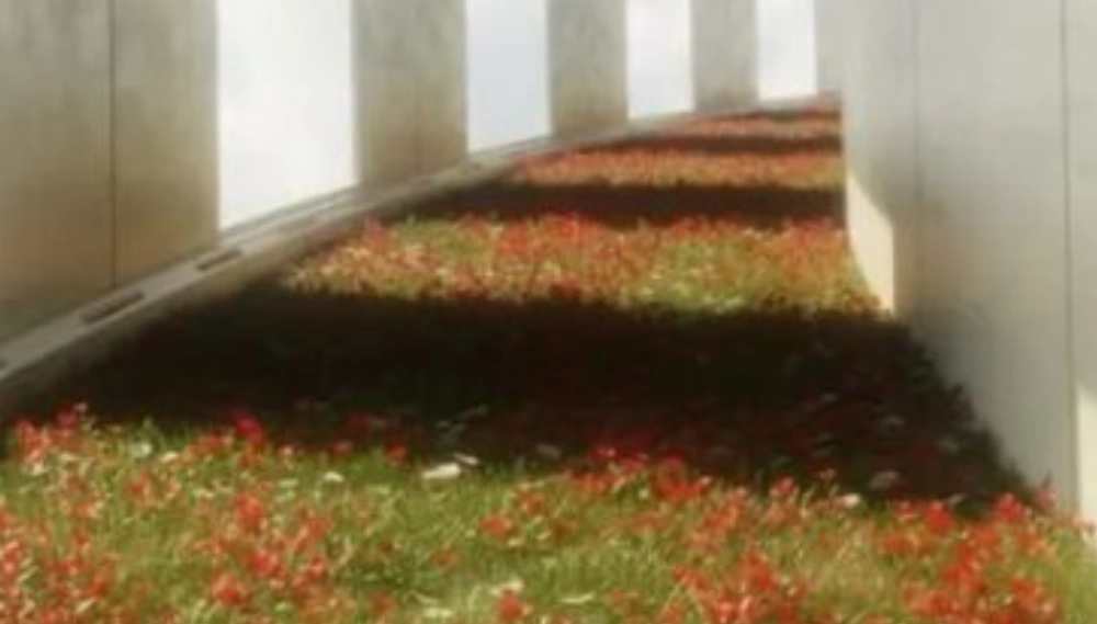 Level 150: "The Gardens of Bliss" | The Backrooms: Convergence Wiki ...