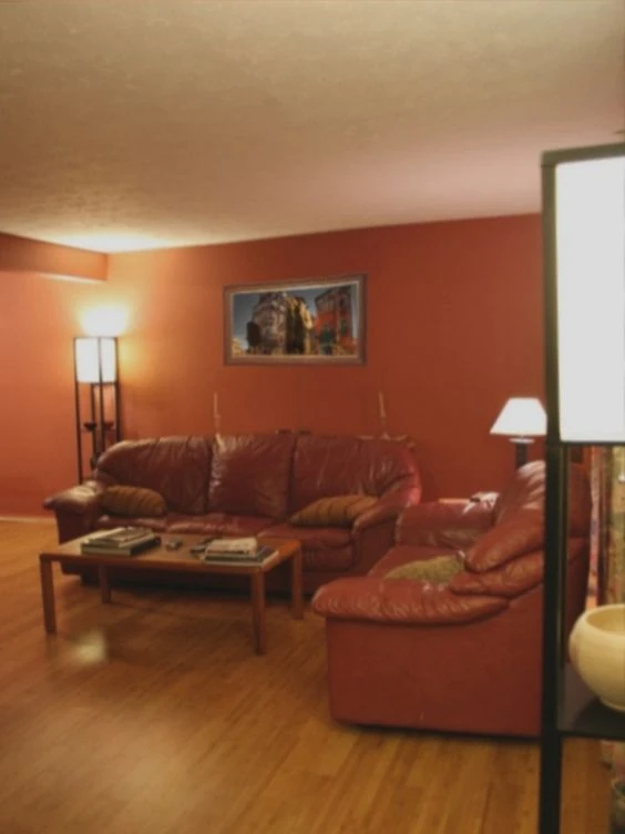 Level 57: "Artistic View" | The Backrooms: Convergence Wiki | Fandom