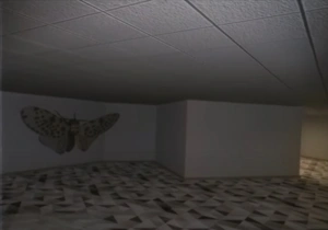 Deathmoths | Backrooms Database Official Wiki | Fandom