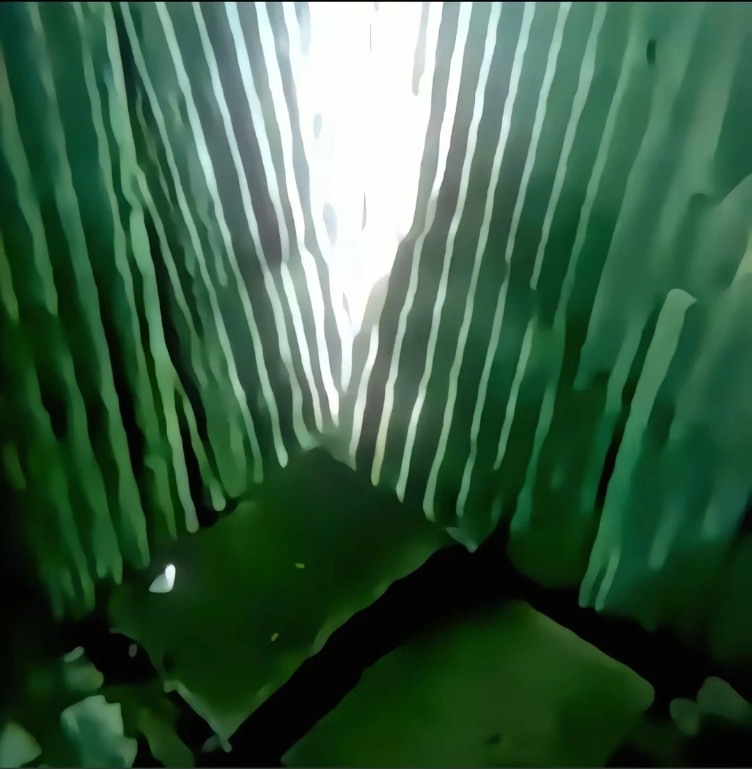 Level : "派对客的家=)何为茅坑" | Backrooms Freewriting Wiki | Fandom