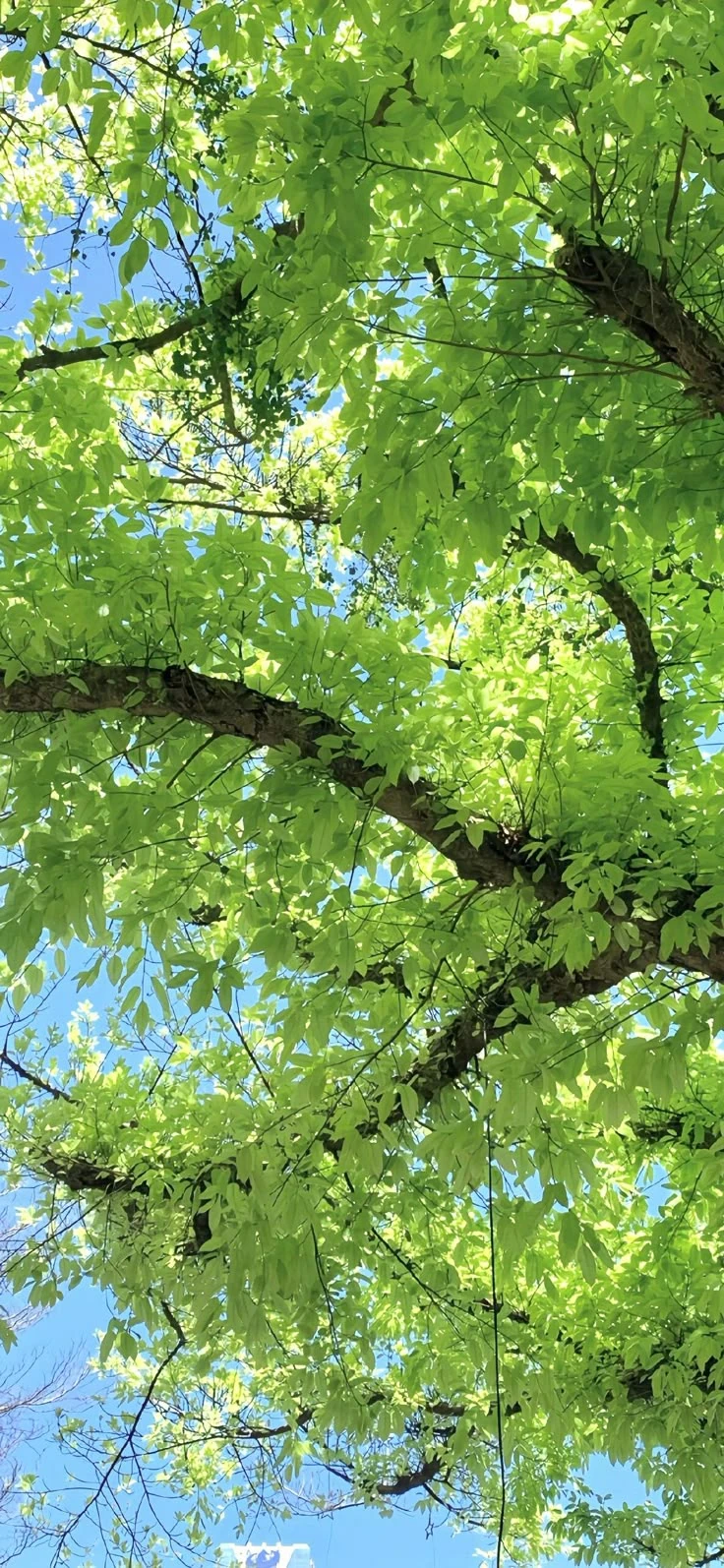 Earth? | Backrooms Freewriting Wiki | Fandom