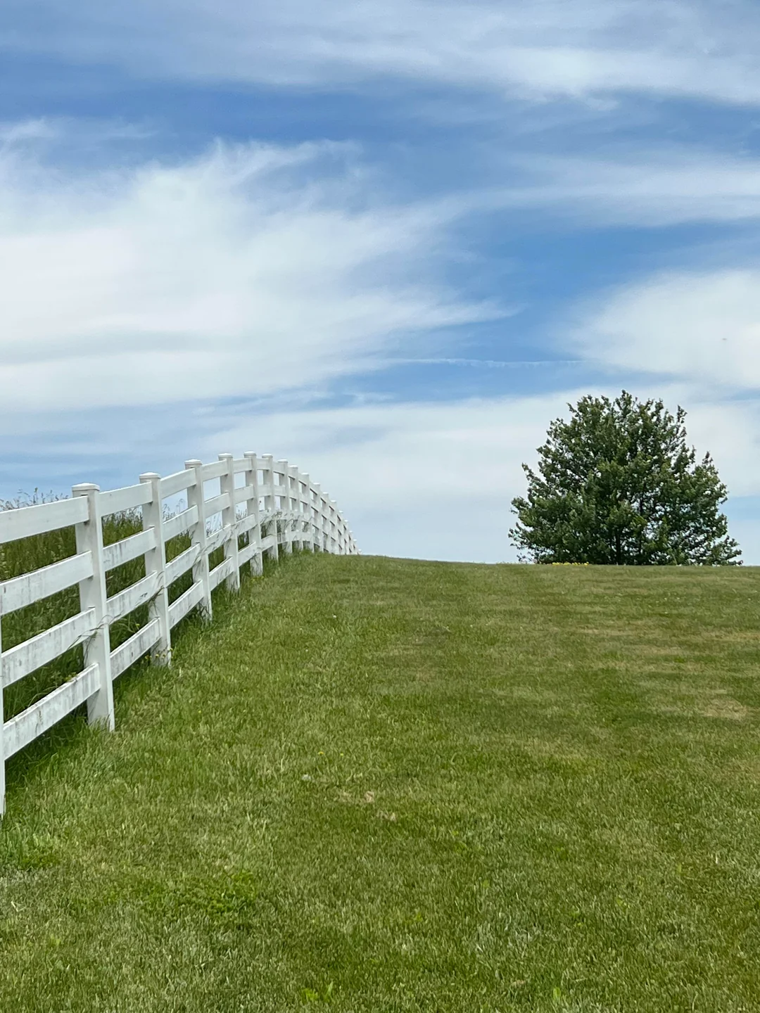 Level 59: "Fence" | Backrooms Freewriting Wiki | Fandom