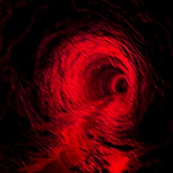 Entity 147: "The Hollow Trench" | Backrooms Freewriting Wiki | Fandom