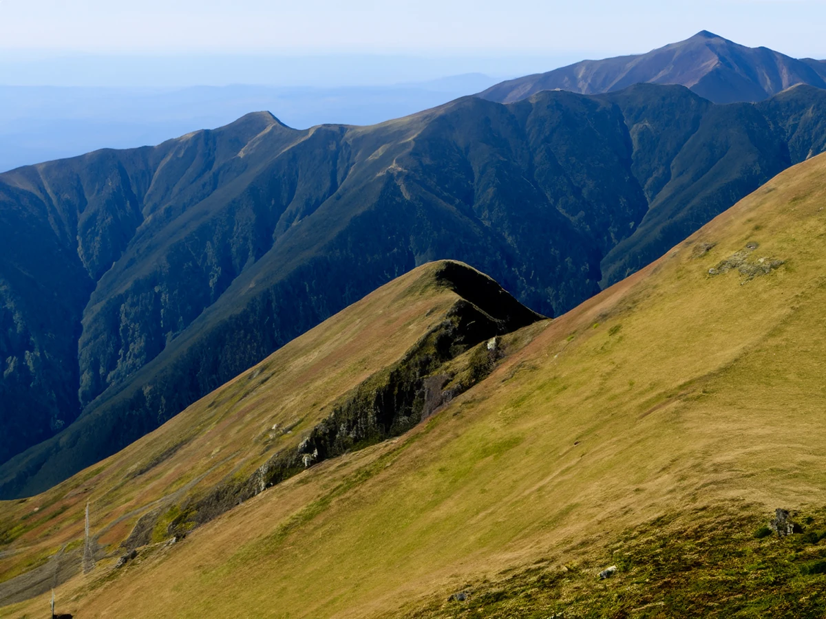 Level 10: "Realistic Memories" | Backrooms Freewriting Wiki | Fandom