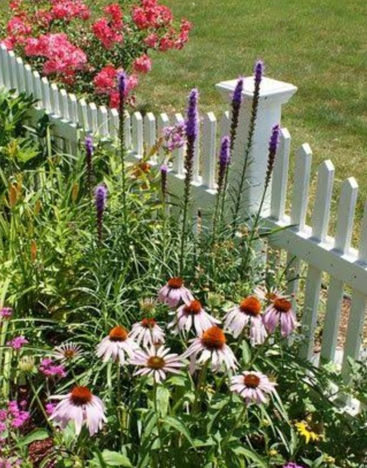 Level 1150 - "The backyard" | Backrooms Freewriting Wiki | Fandom