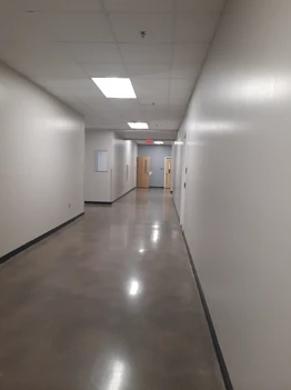 Level 31985 | Backrooms Freewriting Wiki | Fandom