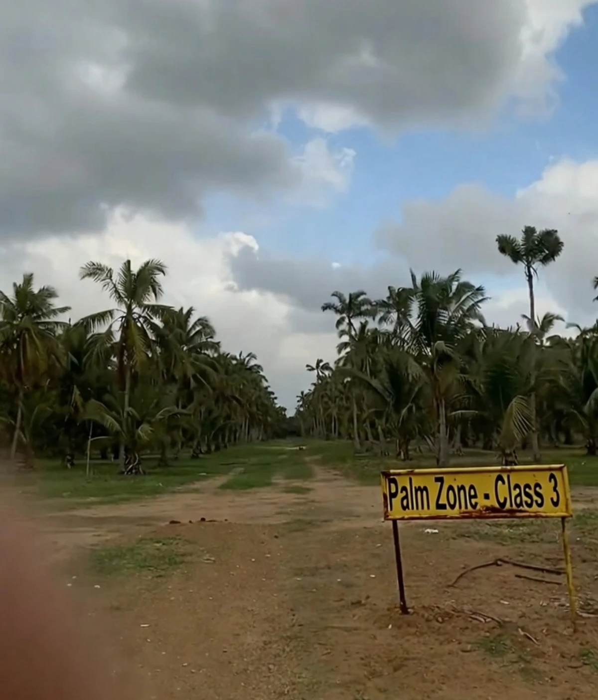 Level -6001: "Skin Stealers Palm Tree Field" | Backrooms Freewriting ...