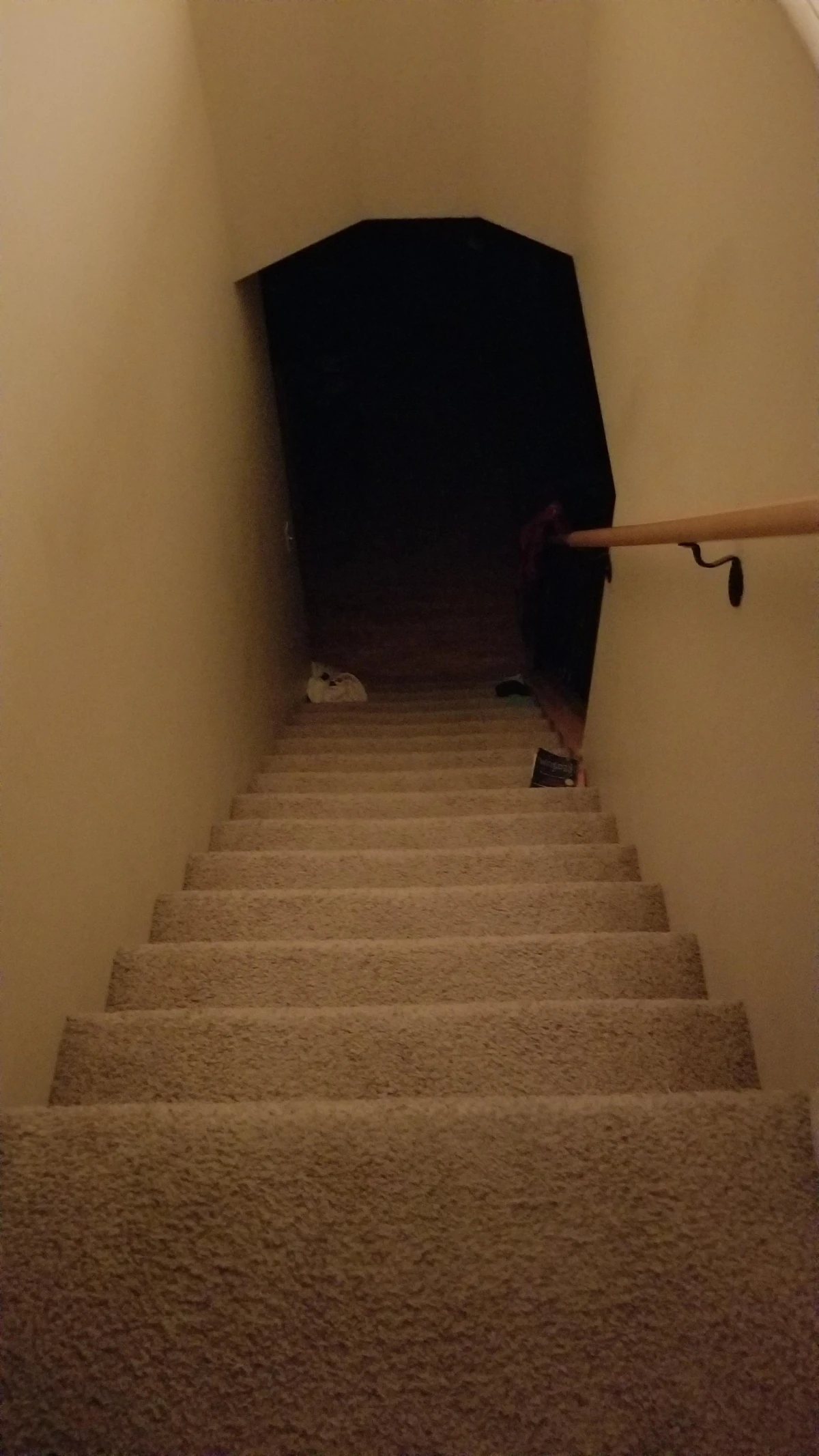 Level ⅩⅤⅢ | Backrooms Freewriting Wiki | Fandom