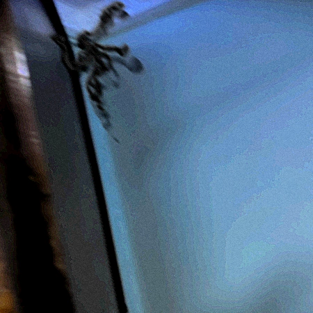 Entity 132: "The Wrapedling" | Backrooms Freewriting Wiki | Fandom