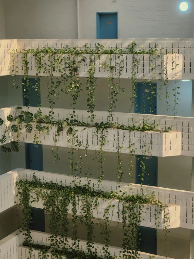 Level 4.2 | Backrooms Freewriting Wiki | Fandom