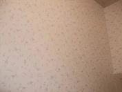 The Manila Rooms | Backrooms Freewriting Wiki | Fandom