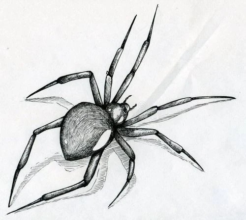 Entity 192: "Pipe Spider" | Backrooms Freewriting Wiki | Fandom